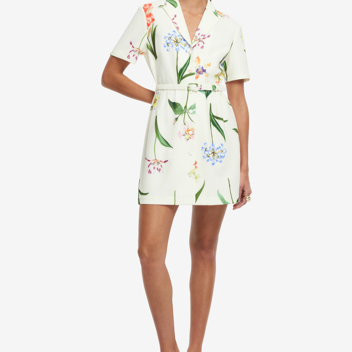 Brigitte Mini Dress - Botanical Print in Snow – LEO LIN