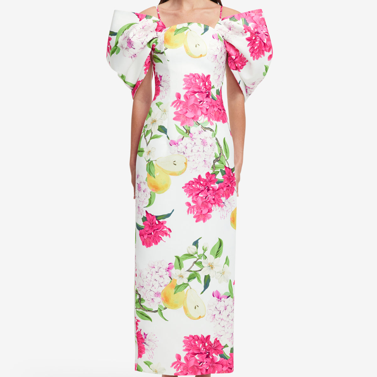 Arabella Maxi Dress - Floral Pear Print – LEO LIN