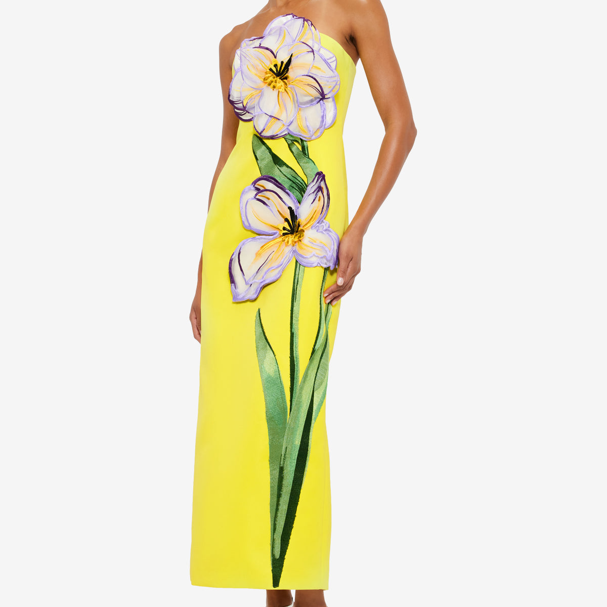 Rayna Appliqué Floral Maxi Dress - Iris Print in Yellow – LEO LIN