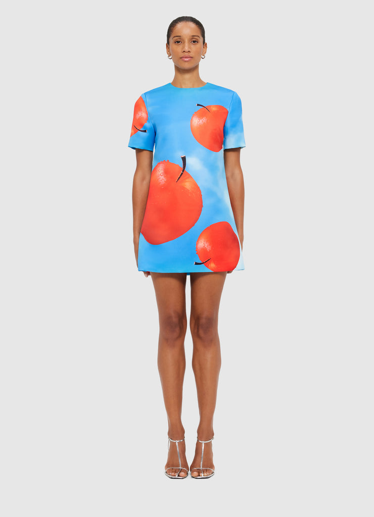 Alexa T-Shirt Mini Dress - Apple Print – LEO LIN